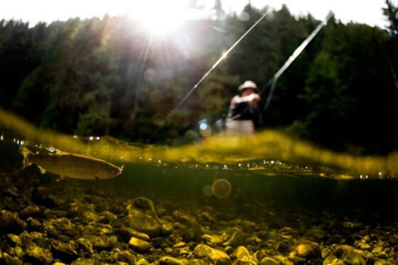 40 Cool Pics Just To Make Your Day