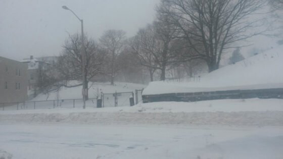 It's Snowing Historic Levels, But Those Tough Bostonian Bastards Are